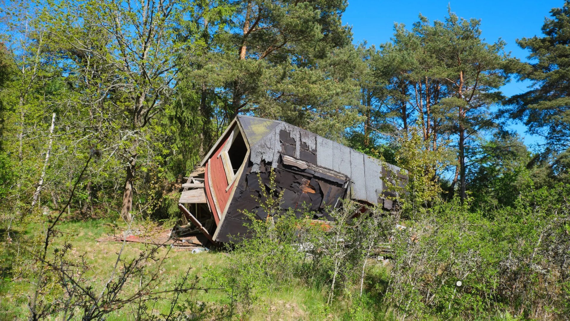 The Final Chapter – A Carol Reed Mystery review | Adventure Game Hotspot